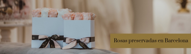 Comprar rosas preservadas en Barcelona - Mundo Luxury - Roses to Love