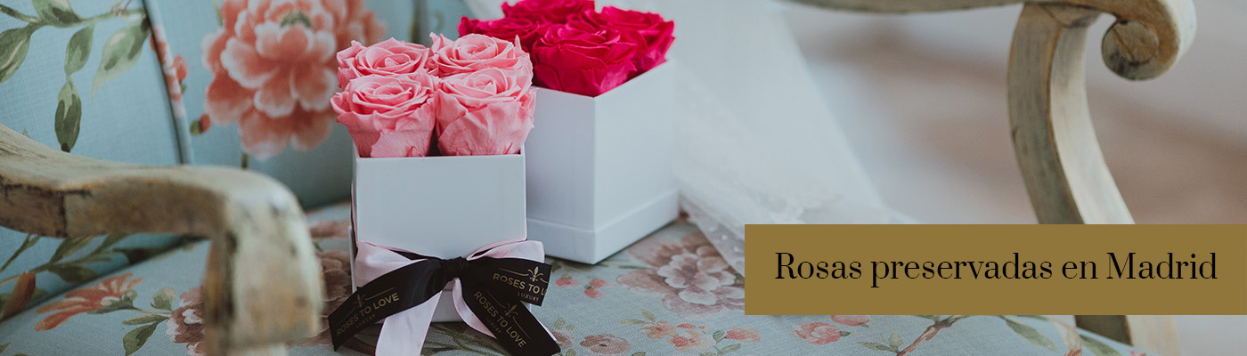 Comprar rosas preservadas en Madrid - Mundo Luxury - Roses to Love